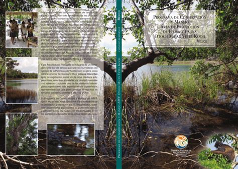 Programa De Conservación Y Manejo Área De
