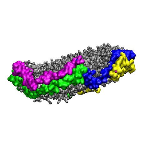 Five Different Views Of A Representative Nanodisc Obtained As The Last