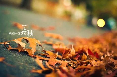 立秋过后吃三样喝三样做三样三大禁忌别犯小心落下病根 天气 白果 肠胃