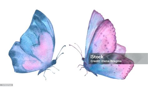 섬세하고 귀여운 파란색과 라일락 나비 세트 수채화 그림은 흰색 배경에 개체를 격리합니다 장식 로맨틱 결혼식 이벤트 직물 Poscards 카드 만들기의 디자인 나방에 대한
