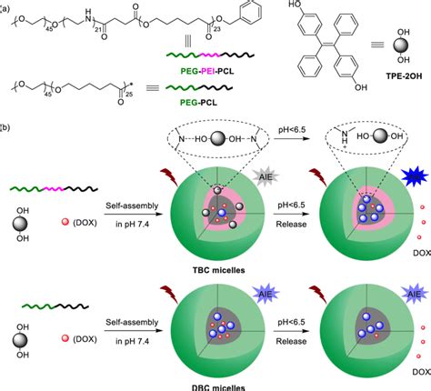 The Chemical Structures Of Triblock Copolymer Poly Ethylene