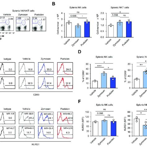 In Vivo Zymosan Treatment Induces The Activation Of Nk And Nkt Cells