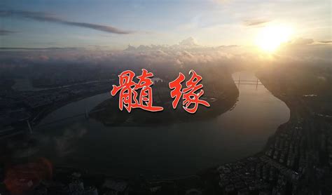 博爱八桂