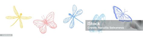 나비와 잠자리의 벡터 집합입니다 손으로 그린 선형 곤충 그래픽 클립아트가 배경에 고립되어 있습니다 식물 및 결혼식 그림 디자이너 초대장 장식 엽서 포장지 스크랩북 커버 고풍