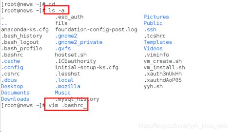 Shell脚本中别名的设置和删除shell的sql能写中文别名吗 Csdn博客
