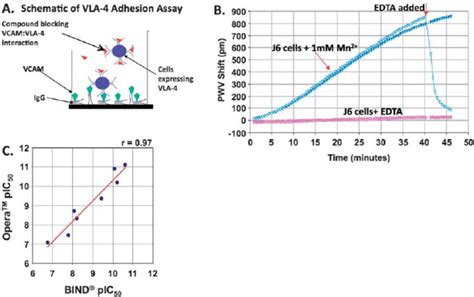 Cell Adhesion Assay To Measure Specific Cell Adhesion Molecule Integrin