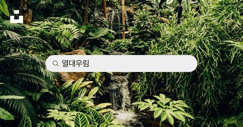 100 멋진 열대 우림 사진 Hd Unsplash에서 무료 이미지 다운로드