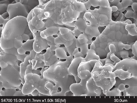 Surface Of The Original TCP Material Before The Exposure Download Scientific Diagram