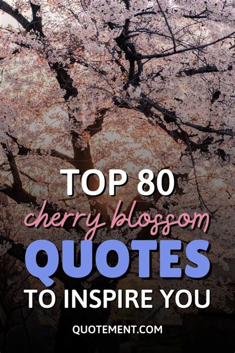 Cherry Blossom Quotes Artofit