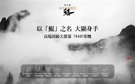 Ayaneo Sealz 海豹國際電子商務有限公司 54939257