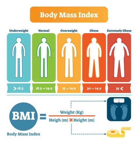 Bmi Illustrations Royalty Free Vector Graphics And Clip Art Istock