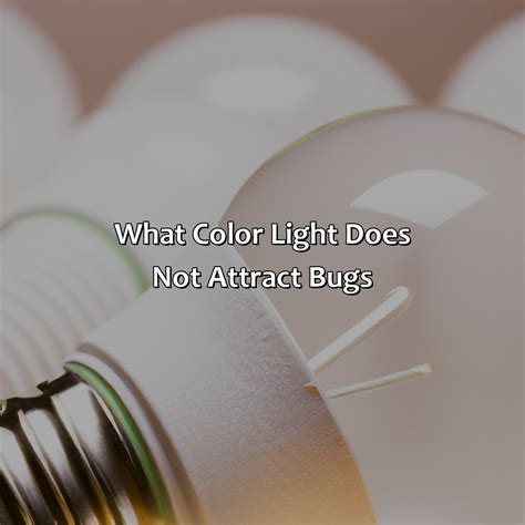 What Color Light Does Not Attract Bugs Colorscombo