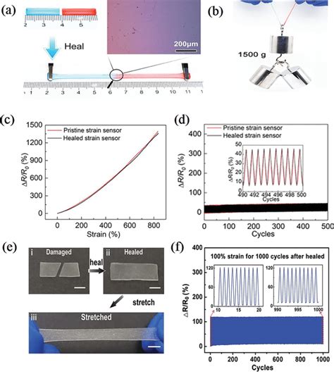 A Images Showing The Self‐healing Ability Of Pvapvpils Ionogel The Download Scientific
