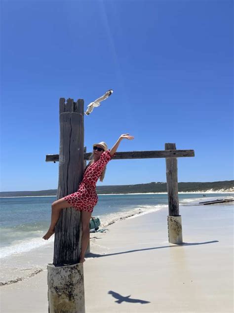 Exploring The Magical Hamelin Bay Stingrays Of Western Australia