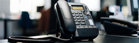 Contact Us Daisy Flower School