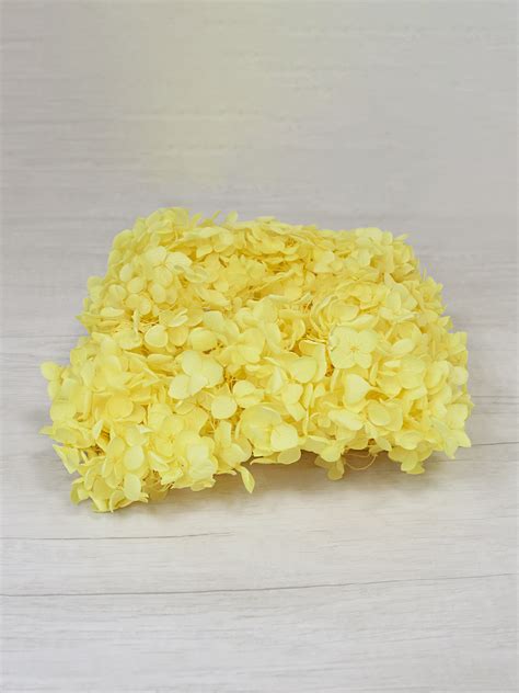 Гортензія стабілізована жовта купити в Україні за низькою ціною • Dfb Elements