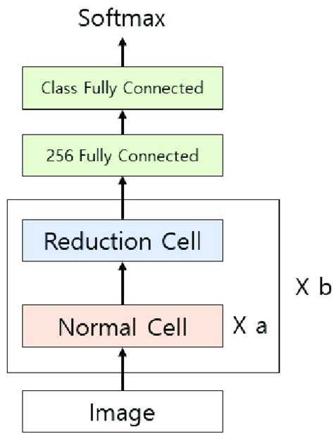 Cell Connection Structure Download Scientific Diagram