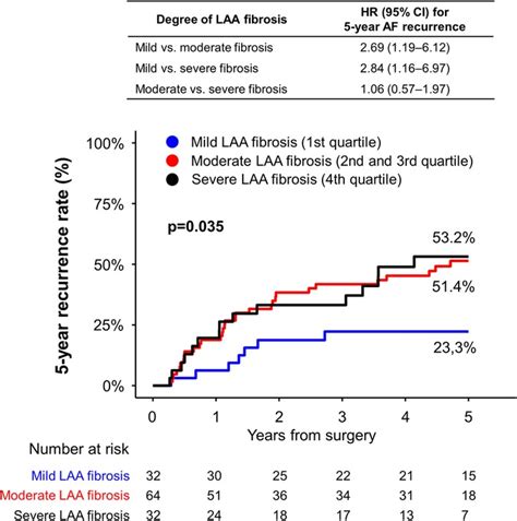 Frontiers Left Atrial Strain Predicts Fibrosis Of Left Atrial Appendage In Patients With
