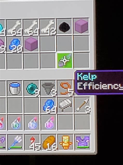 Woodland Mansion Raid Today Was Quite Interesting Minecraftbedrockers