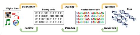 from punch card to dna data storage the zerone medium