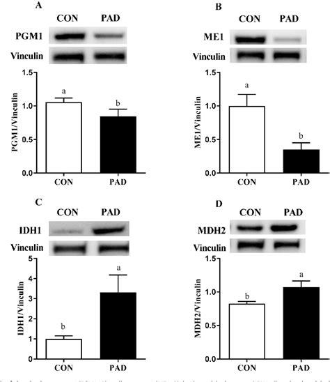 Figure 1 From Integrated Liver Proteomics And Metabolomics Identify