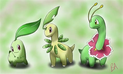 Chikorita Pokemon Evolution