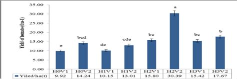 Combined Effect Of Plant Hormones And Variety On Yield Of Tomato