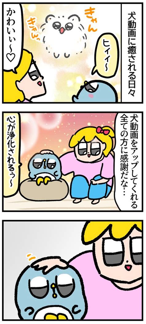 「犬動画で気付いてしまった夫」ｷﾗｷﾗおめめのモモコちゃんの漫画