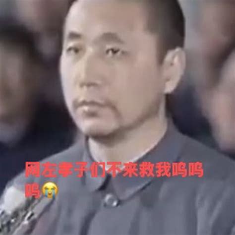 网左他爹