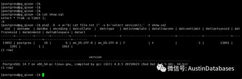 Postgresql Psql 命令中如何使用变量带入查询和函数 Csdn博客 Postgresql Psql 命令中如何使用变量带入查询和函数 Csdn博客