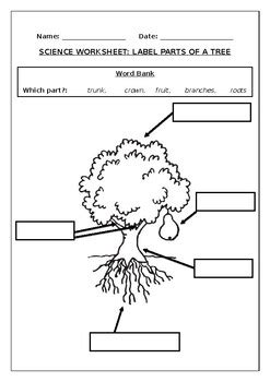 The Tree Worksheet Is Shown In Black And White With Words Below It