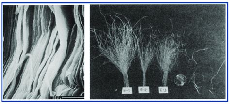 Growth Packed Micron Sized Ppta Fibers 40 Copyright 1987 Springer