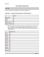 Lab DNA Worksheet Pdf Lab DNA Lab Worksheet DNA Lab Instructions Answer The Questions