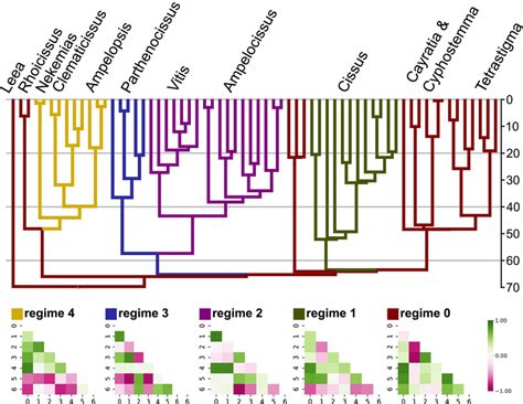 Reconstructed Macroevolutionary Integration Regimes Mapped To Vitaceae
