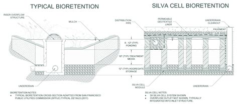 Stormwater Management Through Bioretention Silva Cell By Deeproot