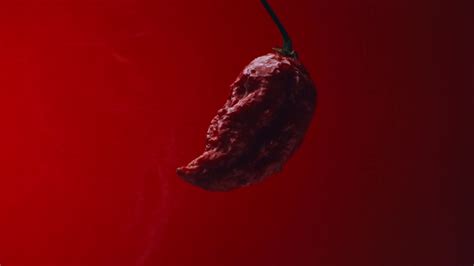 Léa Morel On Linkedin Unjourunplan Onedayoneshot