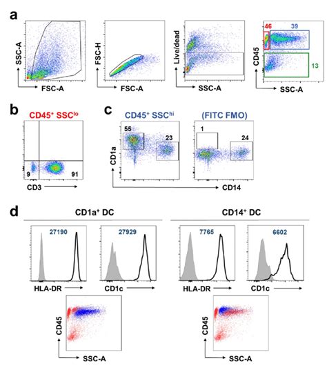 16 Gating Strategy To Identify Immune Cell Populations Isolated From