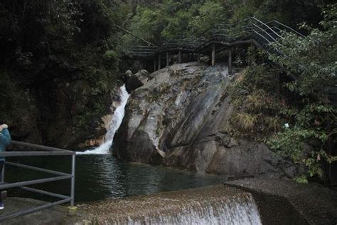 郴州莽山美景之行快來看看吧 每日頭條