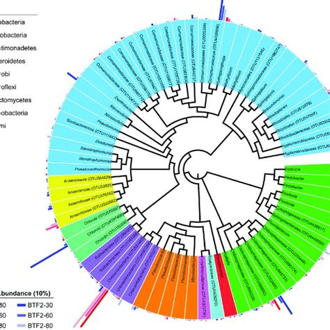 Linear Discriminant Analysis Lda Effect Size Taxonomic Cladogram