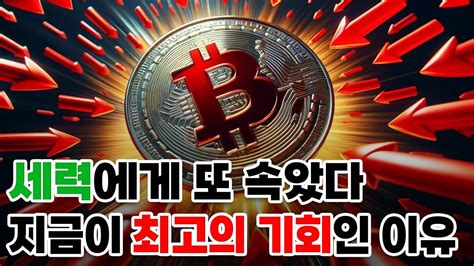 암호화폐 대폭락 하지만 지금이 다신 없을 절호의 기회인 이유 비트코인 코인전망 Youtube