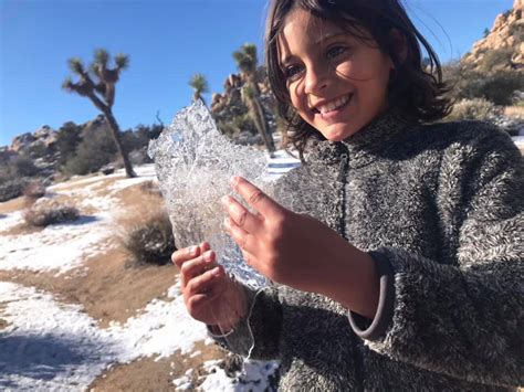 Incredible Joshua Snow Joshua Tree Oasis