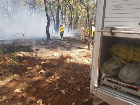 No Habrá Construcciones En El Bosque La Primavera Reafirma Gobernador