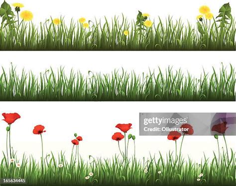 Grass Eps Photos And Premium High Res Pictures Getty Images