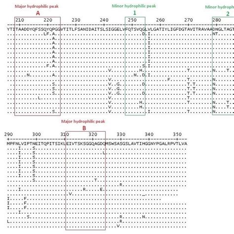 Alignment Of Deduced Amino Acid Aa Sequence Of The Vp Variable