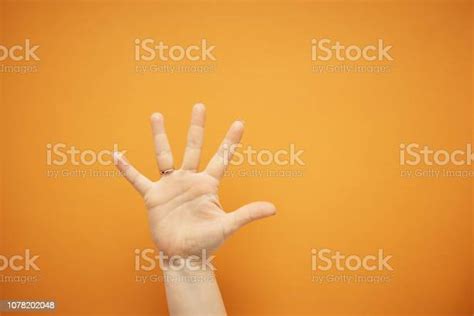 제스처 여성 손이 보여줍니다 오렌지 배경에 고립 된 다섯 손가락 개념에 대한 스톡 사진 및 기타 이미지 개념 동의 러시아