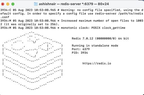 Beginners Guide To Redis With Python Askpython