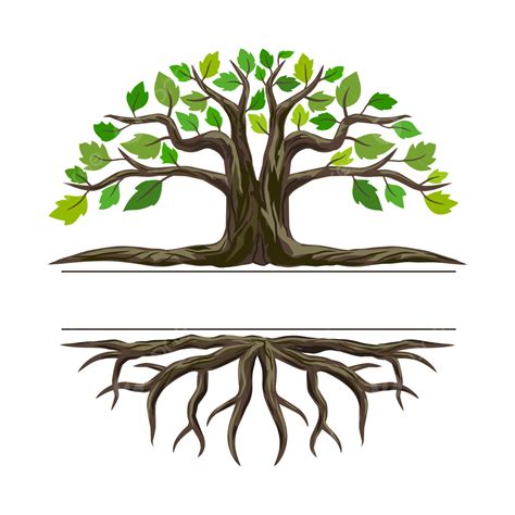Olive Tree Logo In Circle Shaped Logo Tree Roots PNG And Vector With