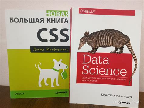 Комплект Из 2 Книг Data Science. Инсайдерская Информация для Новичков ...