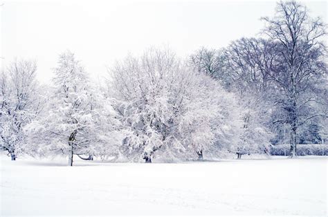 Snowy Landscape 2 Free Stock Photo Public Domain Pictures