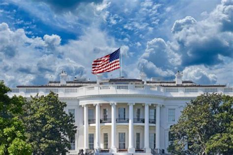 Explainer New Report Affirms The Biological Basis Of Sex Differences